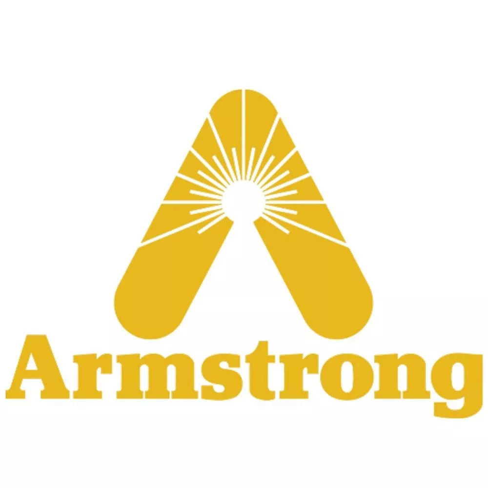 D500212 | Armstrong TVS-811S 3/4" Trap Valve Station 250 PSI
